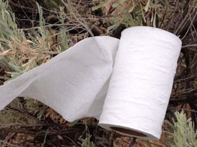 Paper Trail – Traditional Bowhunter Magazine