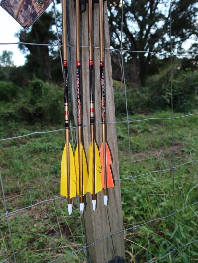 Judo – Traditional Bowhunter Magazine